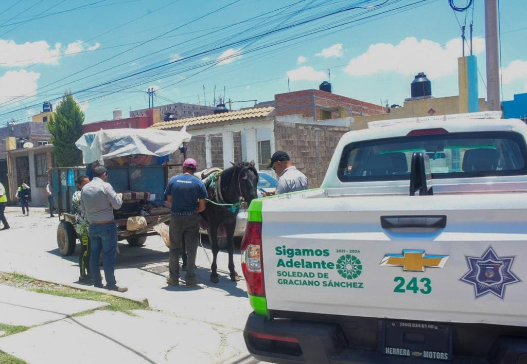 Operativos Ecológicos: Ayuntamiento de Soledad de Graciano Sánchez ...